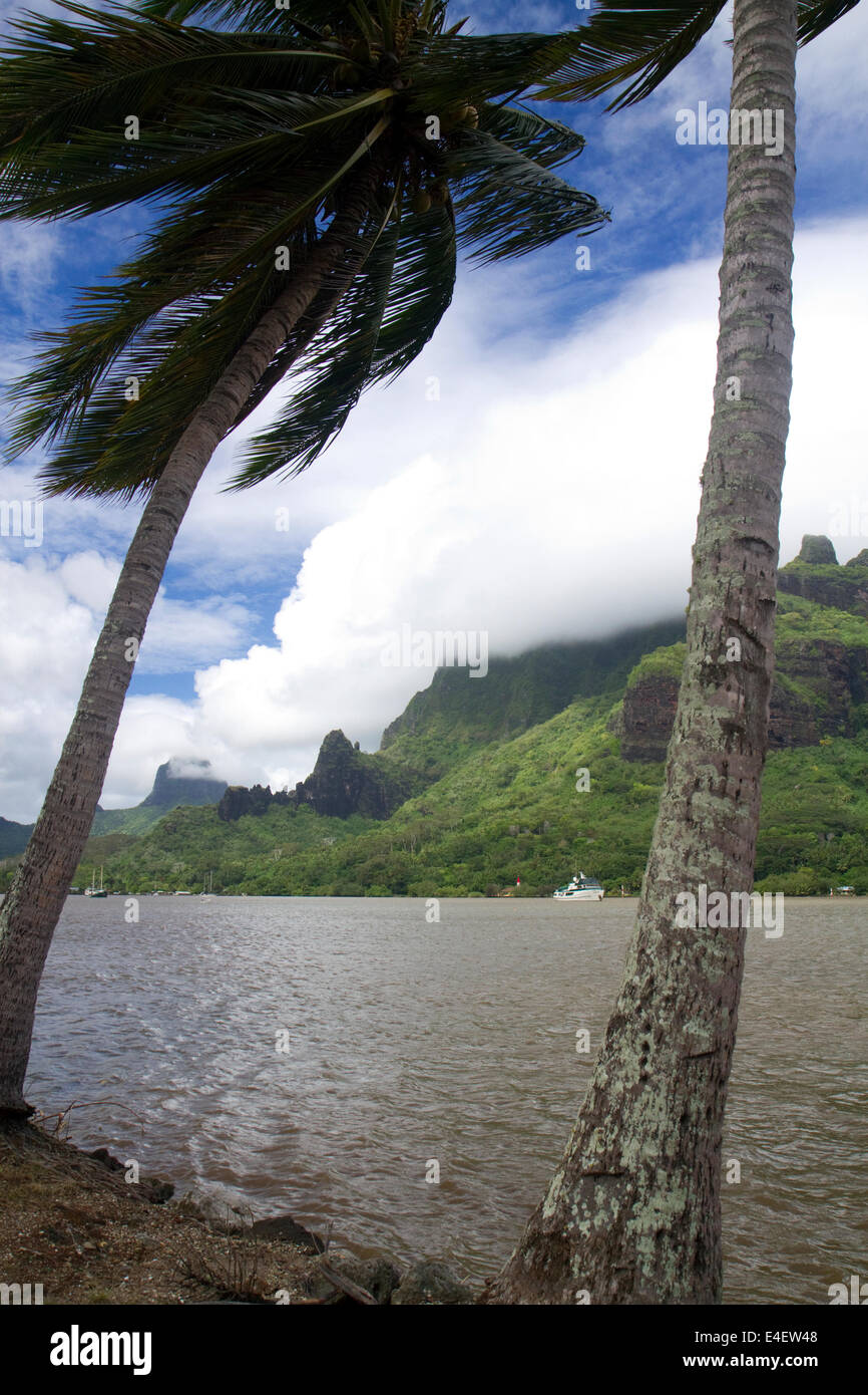 Moorea cook’s bay hi-res stock photography and images - Alamy