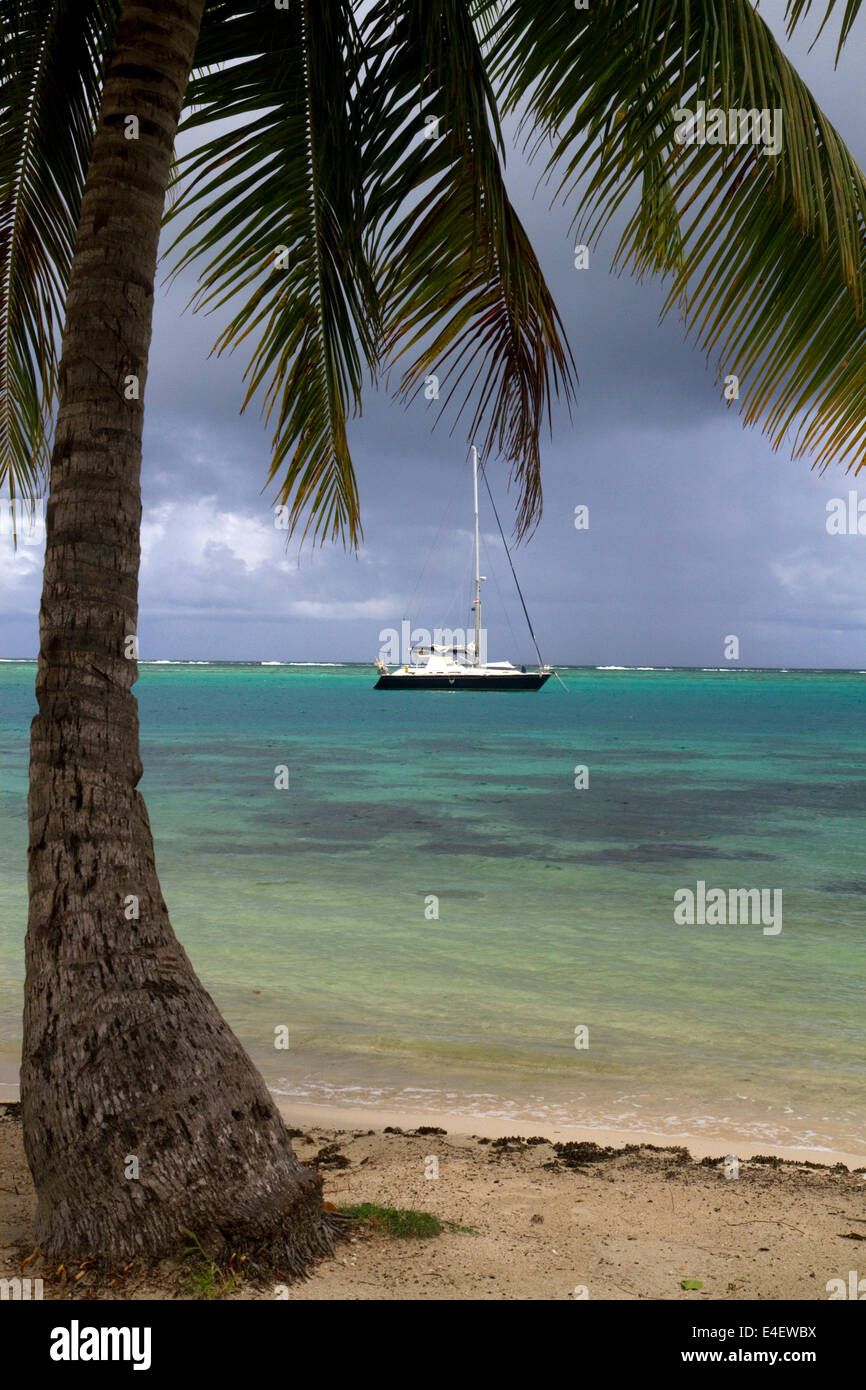 Polynesian boat hi-res stock photography and images - Alamy