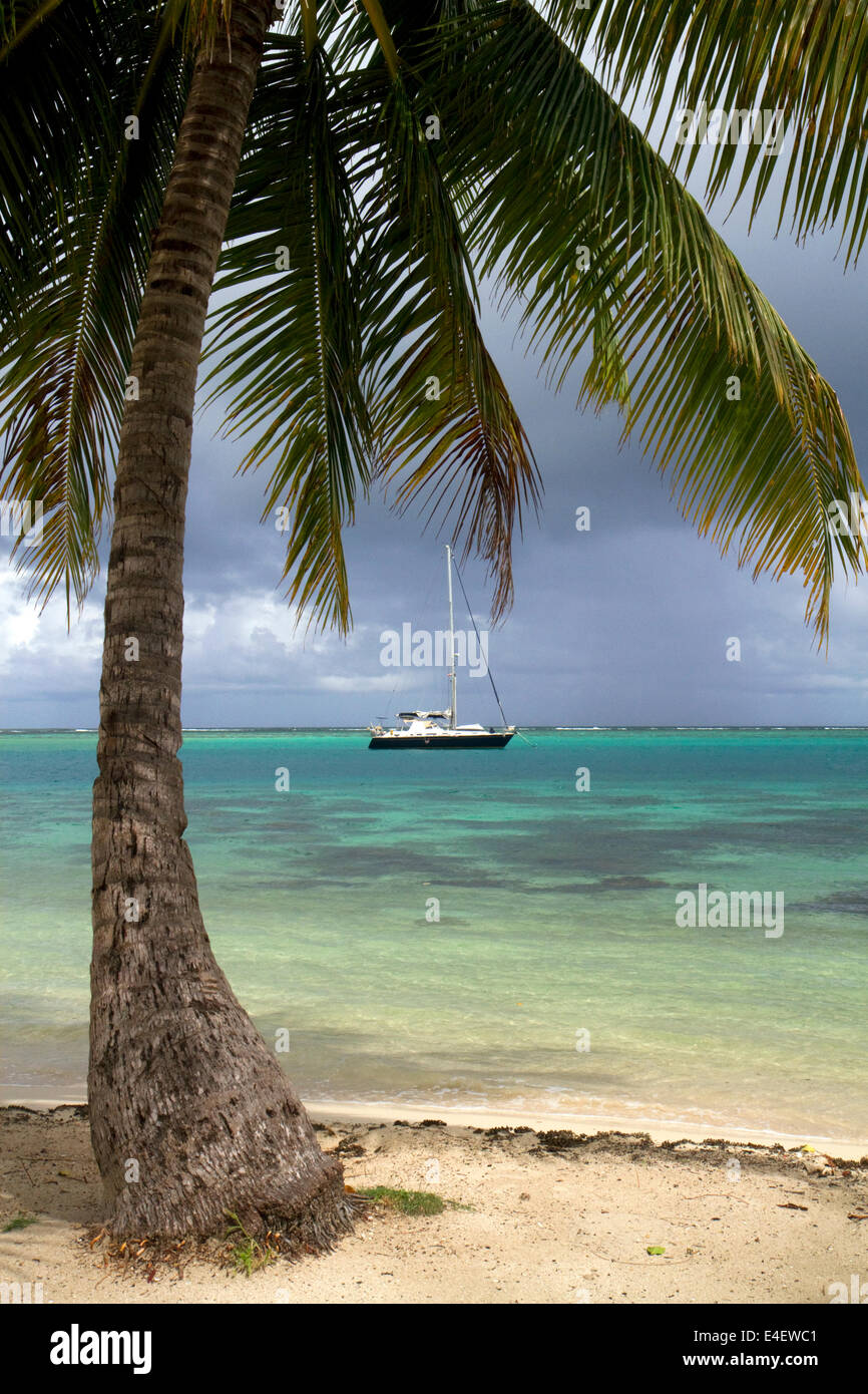 Polynesian boat hi-res stock photography and images - Alamy