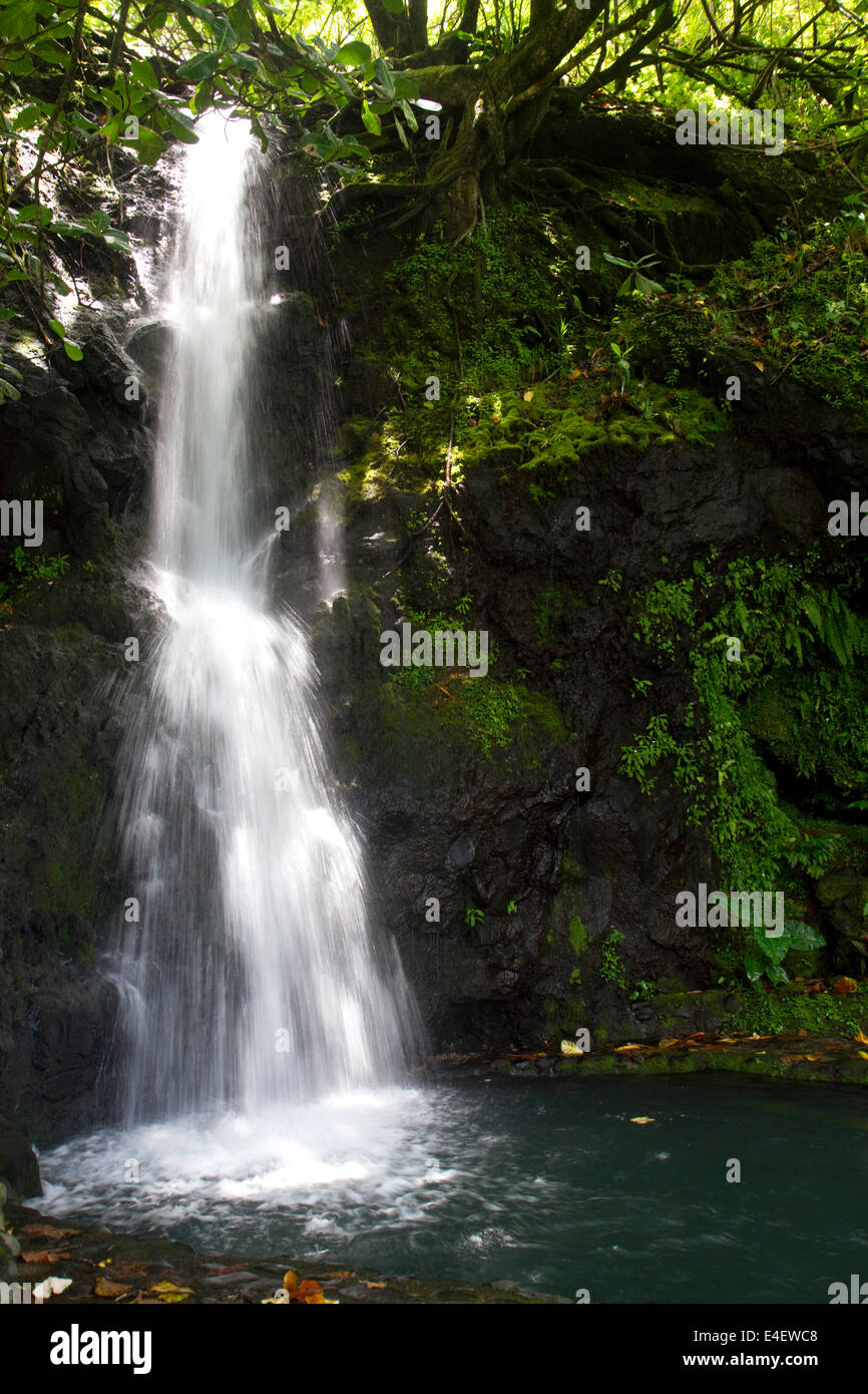 Waterfall on the island of Tahiti, French Polynesia Stock Photo - Alamy