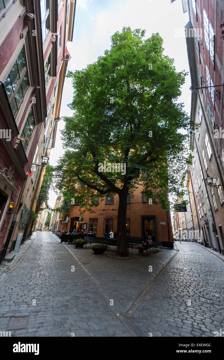 Brända Tomten (The Burnt Lot) is a small, triangular public square in ...
