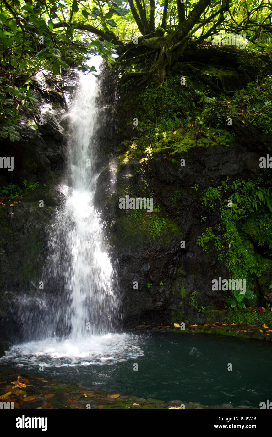 Waterfall on the island of Tahiti, French Polynesia Stock Photo - Alamy