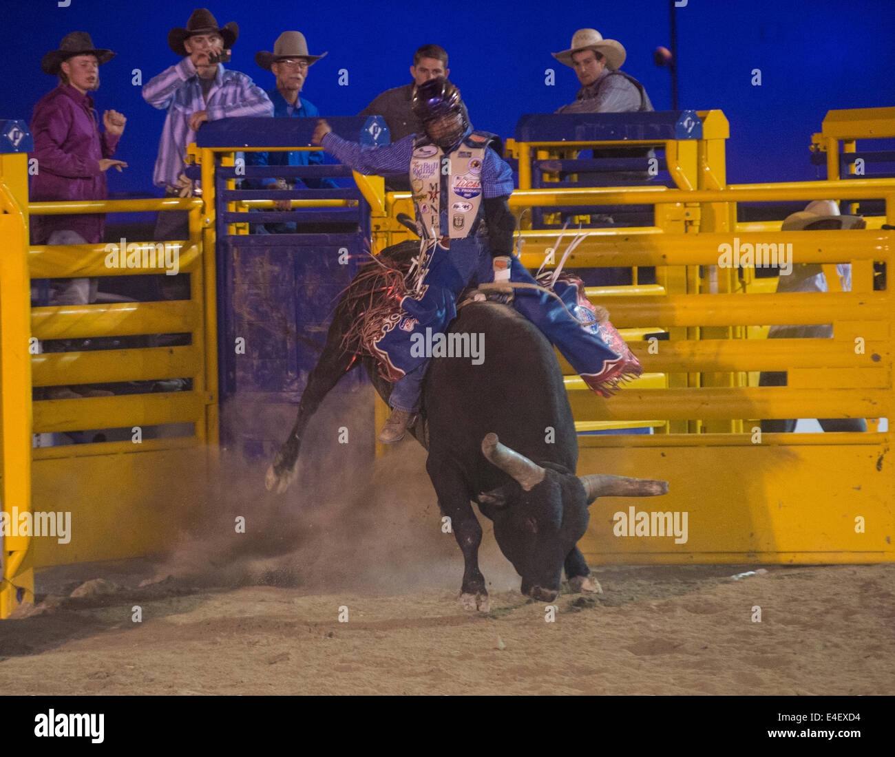 Cowboy Participating in a Bull riding Competition at the Helldorado ...