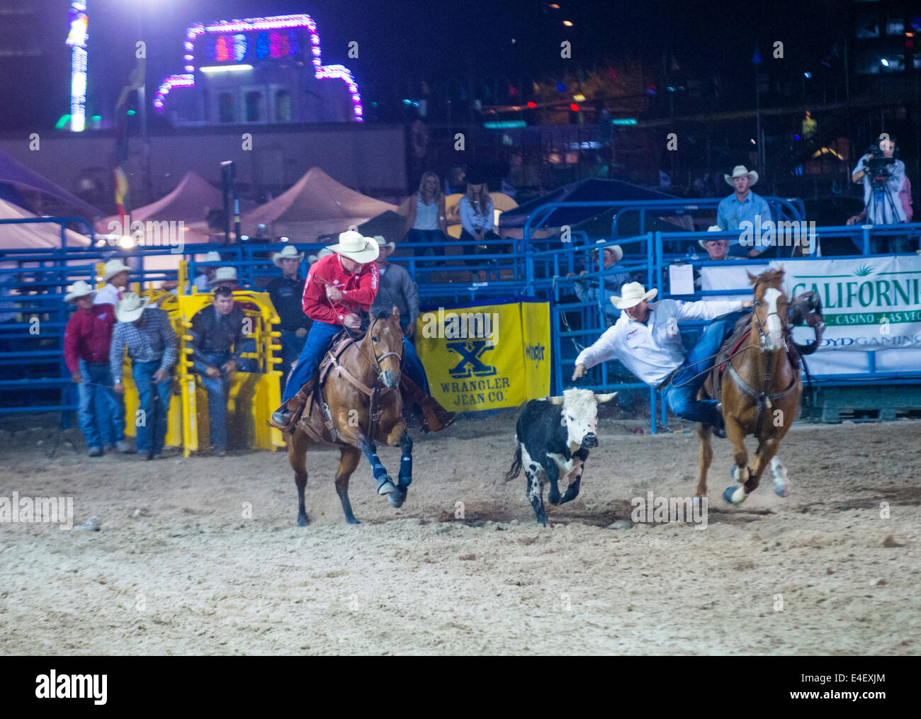 Cowboys Participating in a Calf roping Competition at the Helldorado ...