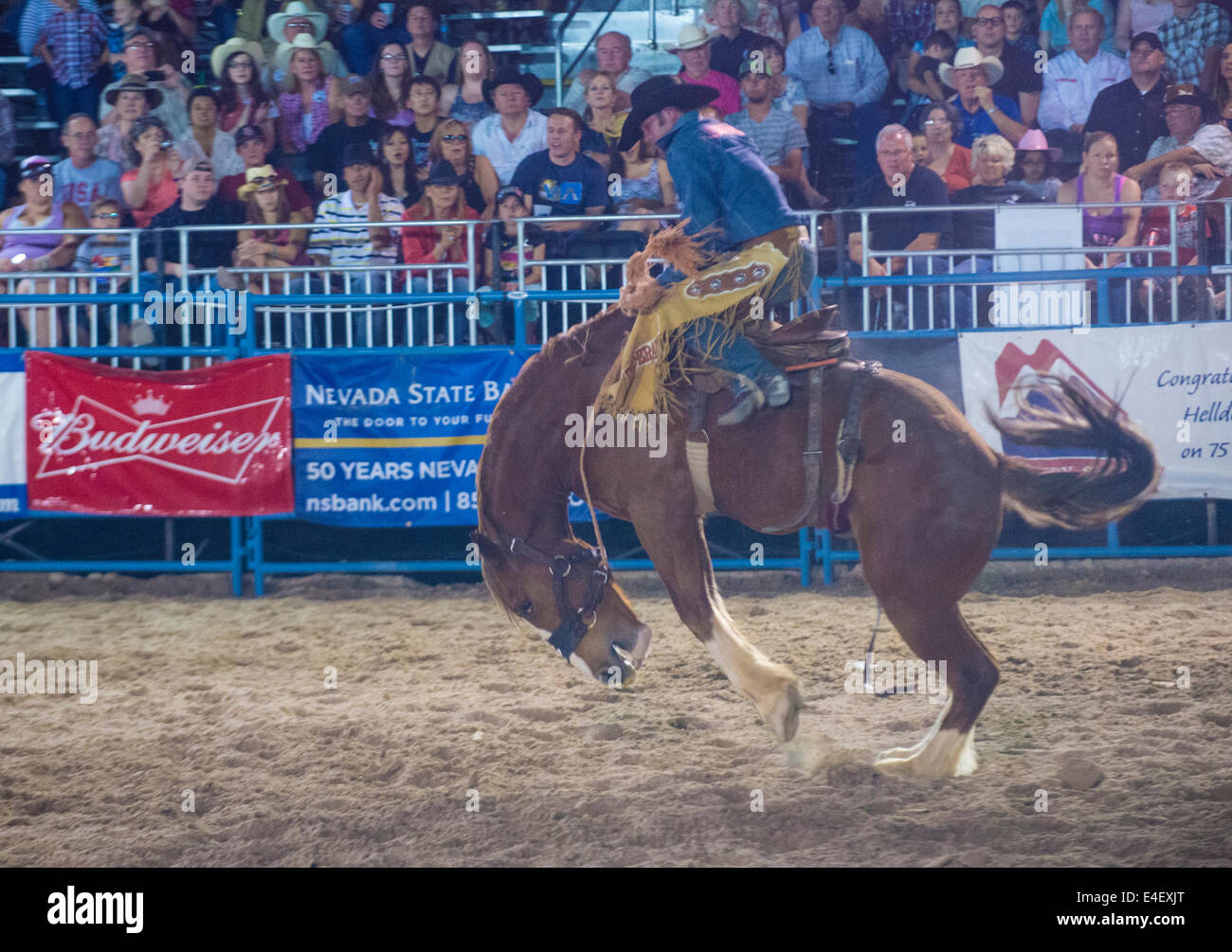 Cowboy Participating in a Bucking Horse Competition at the Helldorado ...