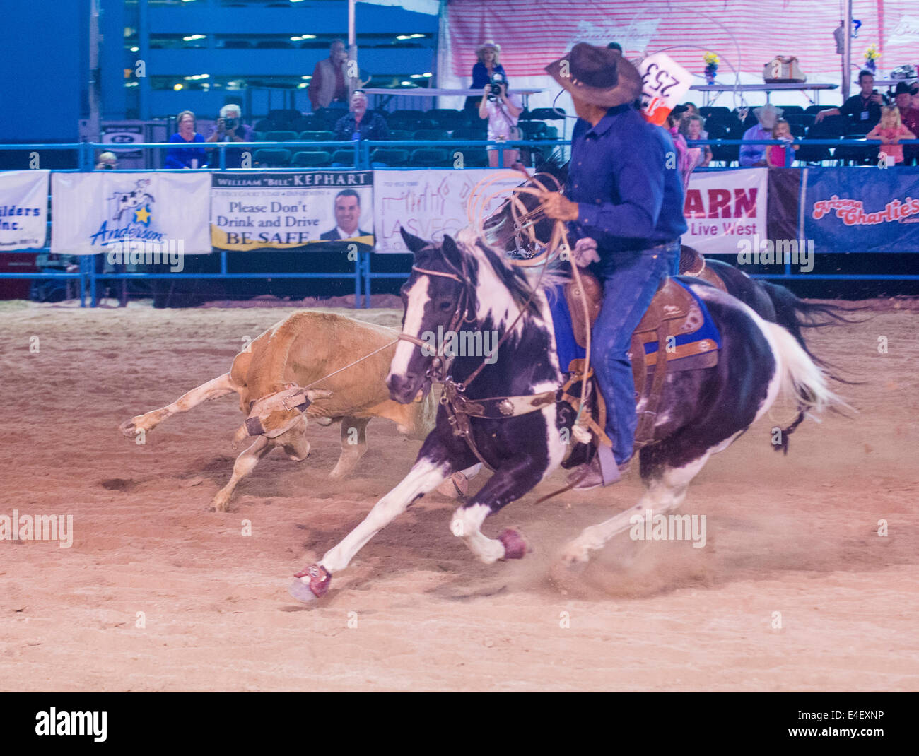 Cowboys Participating in a Calf roping Competition at the Helldorado ...