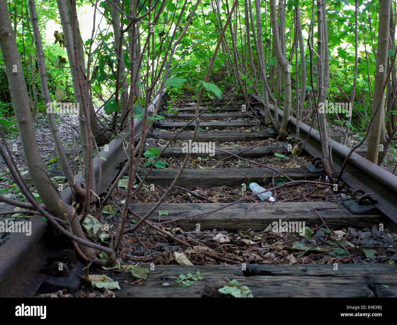 Timperley station hi-res stock photography and images - Alamy
