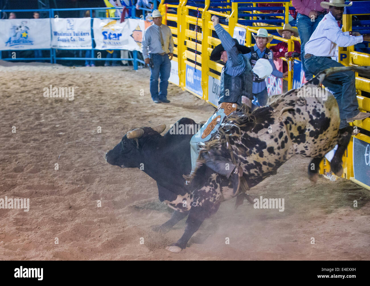 Cowboy Participating in a Bull riding Competition at the Helldorado ...