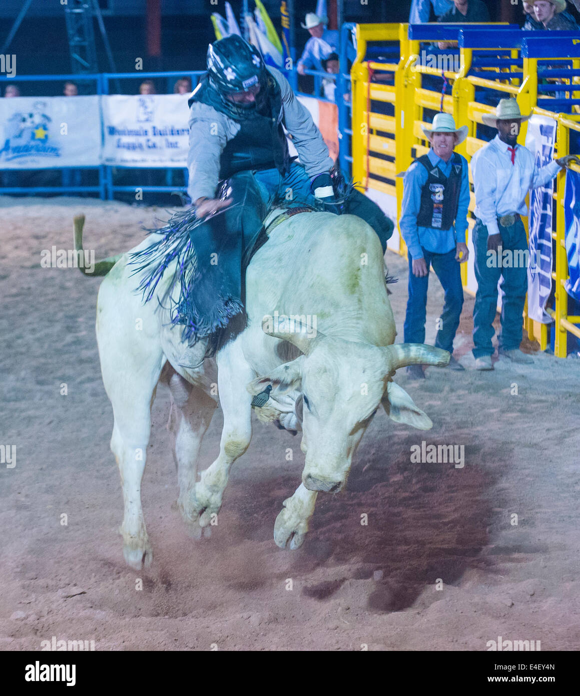 Cowboy Participating in a Bull riding Competition at the Helldorado ...