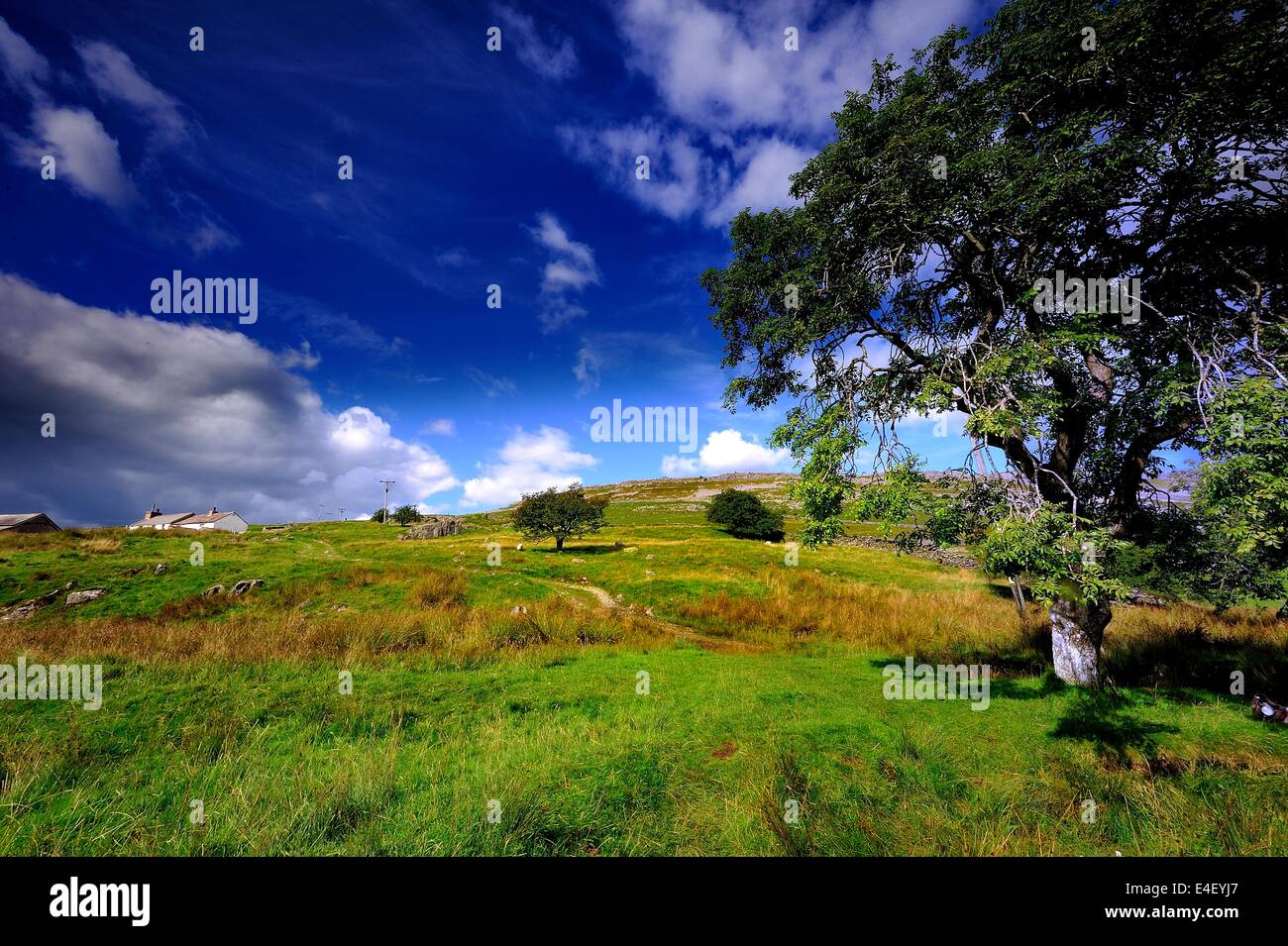 Farm in the Summer Stock Photo - Alamy