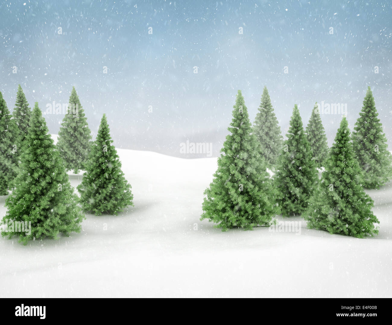 Winter scene snow blue sky and green pine trees Stock Photo - Alamy