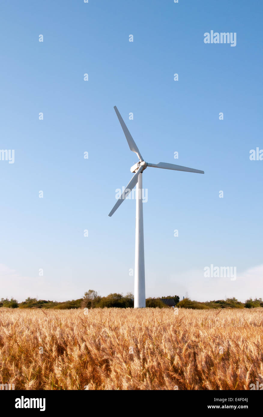 Single wind turbine Stock Photo - Alamy
