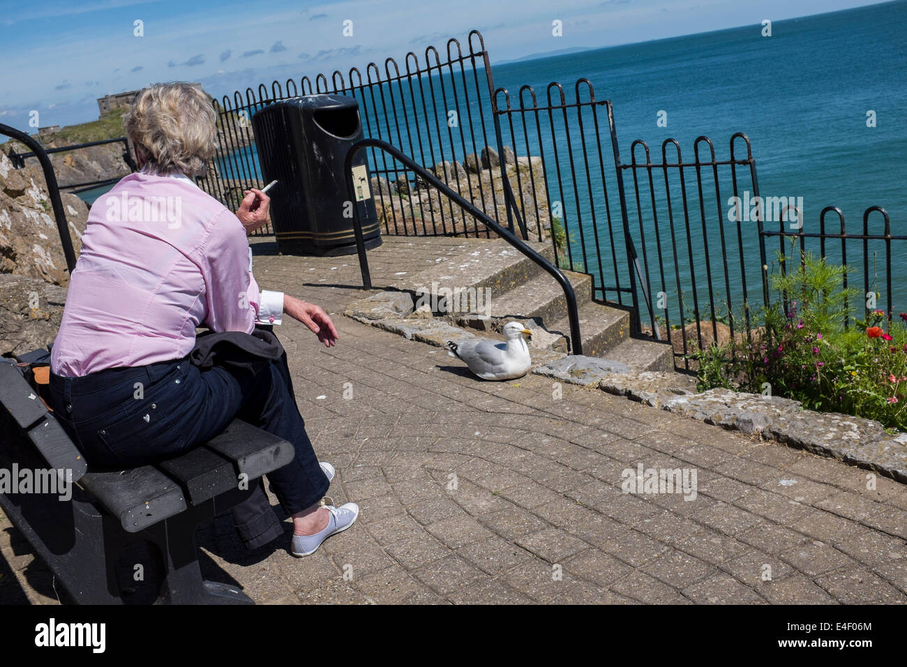 Women smoking cigarette on bench by the sea Stock Photo - Alamy