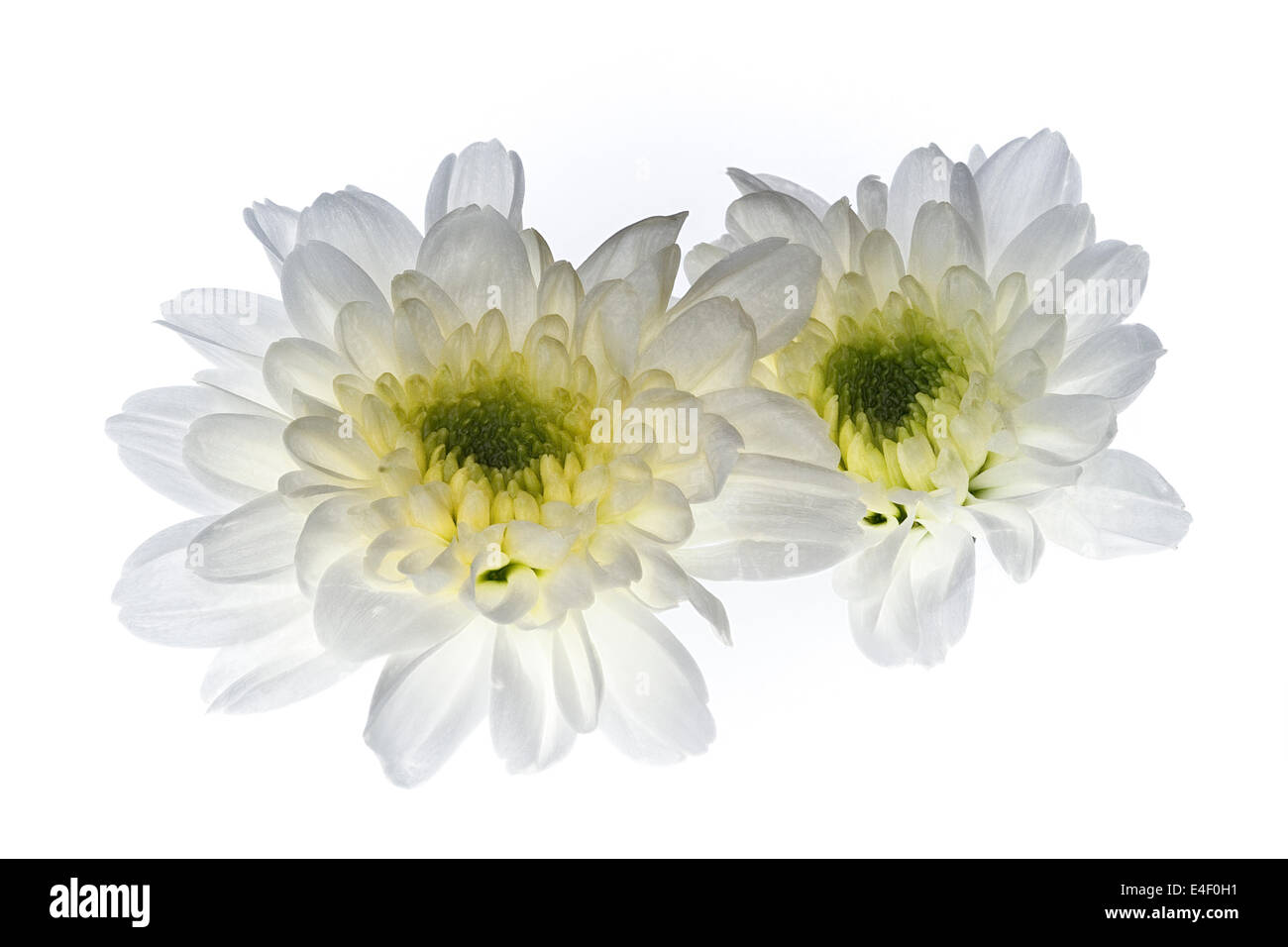 Digitally manipulated hi-res stock photography and images - Alamy
