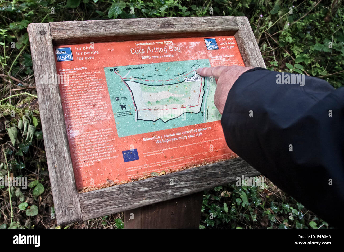 Walkers or tourist route map of Cors Arthog Bog, North Wales Stock ...