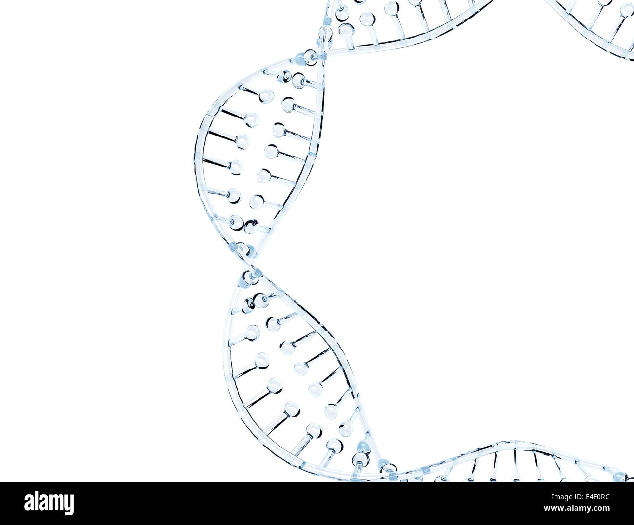 Glass DNA model isolated on white background Stock Photo - Alamy