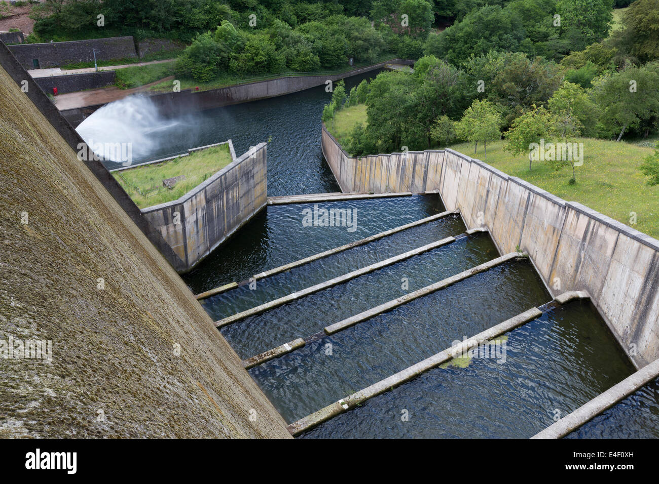 Pond Dams Or Overflows Devices
