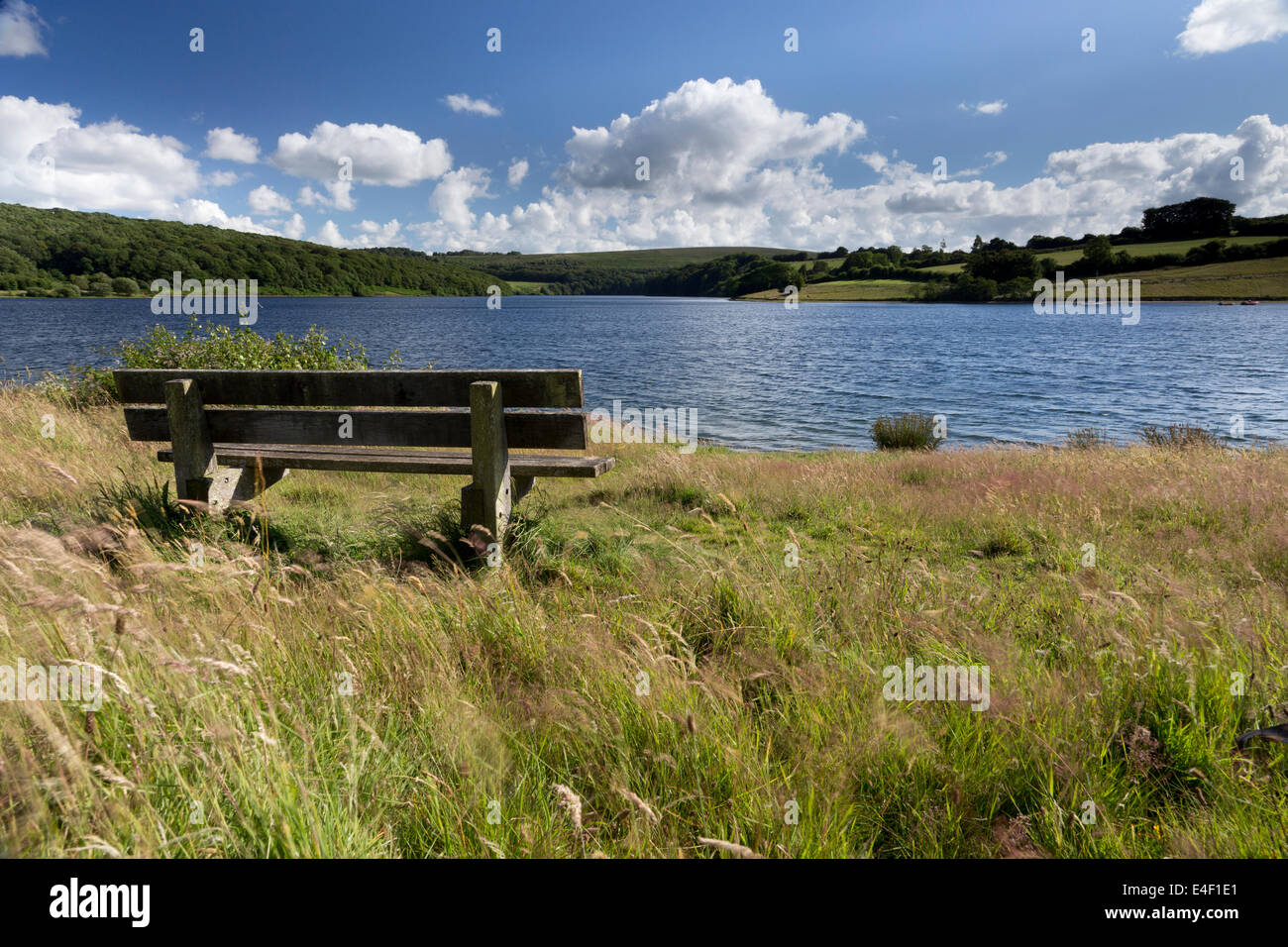 Puffy, white cumulus clouds over Wimbleball lake on Exmoor Stock Photo ...