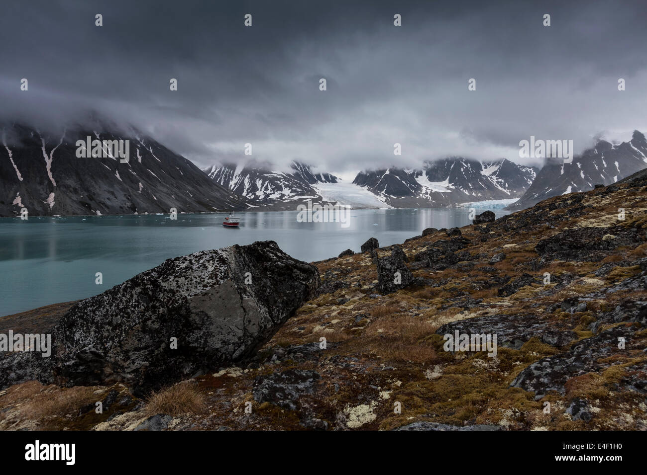 Frozen lichen hi-res stock photography and images - Alamy