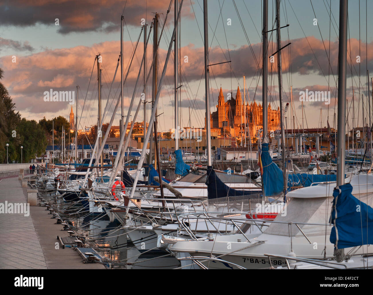 Palma Mallorca Harbour and Cathedral La Seu dominating the sky line lit ...