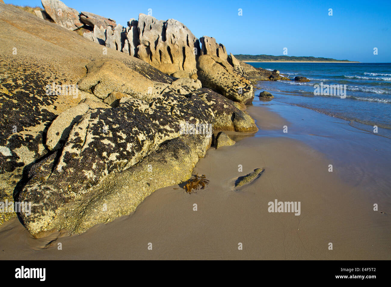 Coast on Three Hummock Island Stock Photo - Alamy