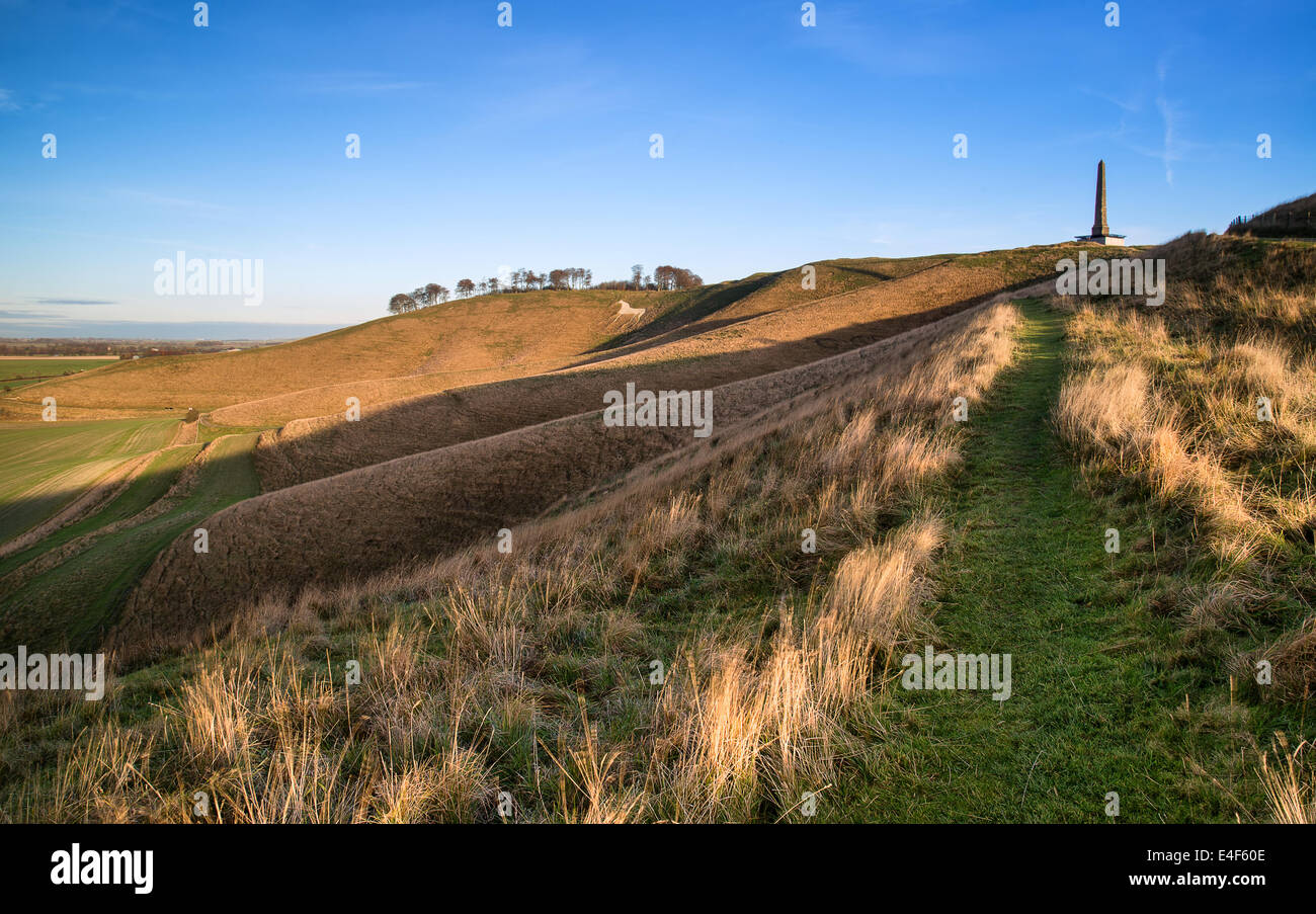 Beauitful landscape of ancient chalk white horse in hill at Cherhill in ...