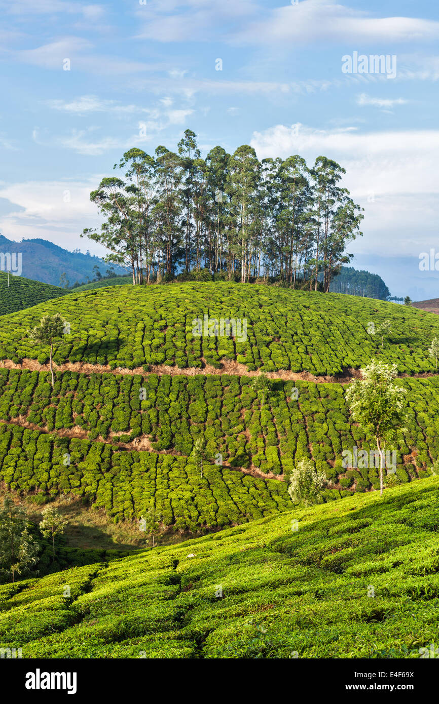 Rural kerala hi-res stock photography and images - Alamy