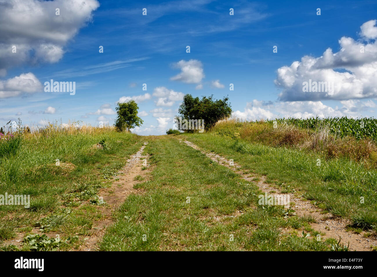 Field pathway hi-res stock photography and images - Alamy