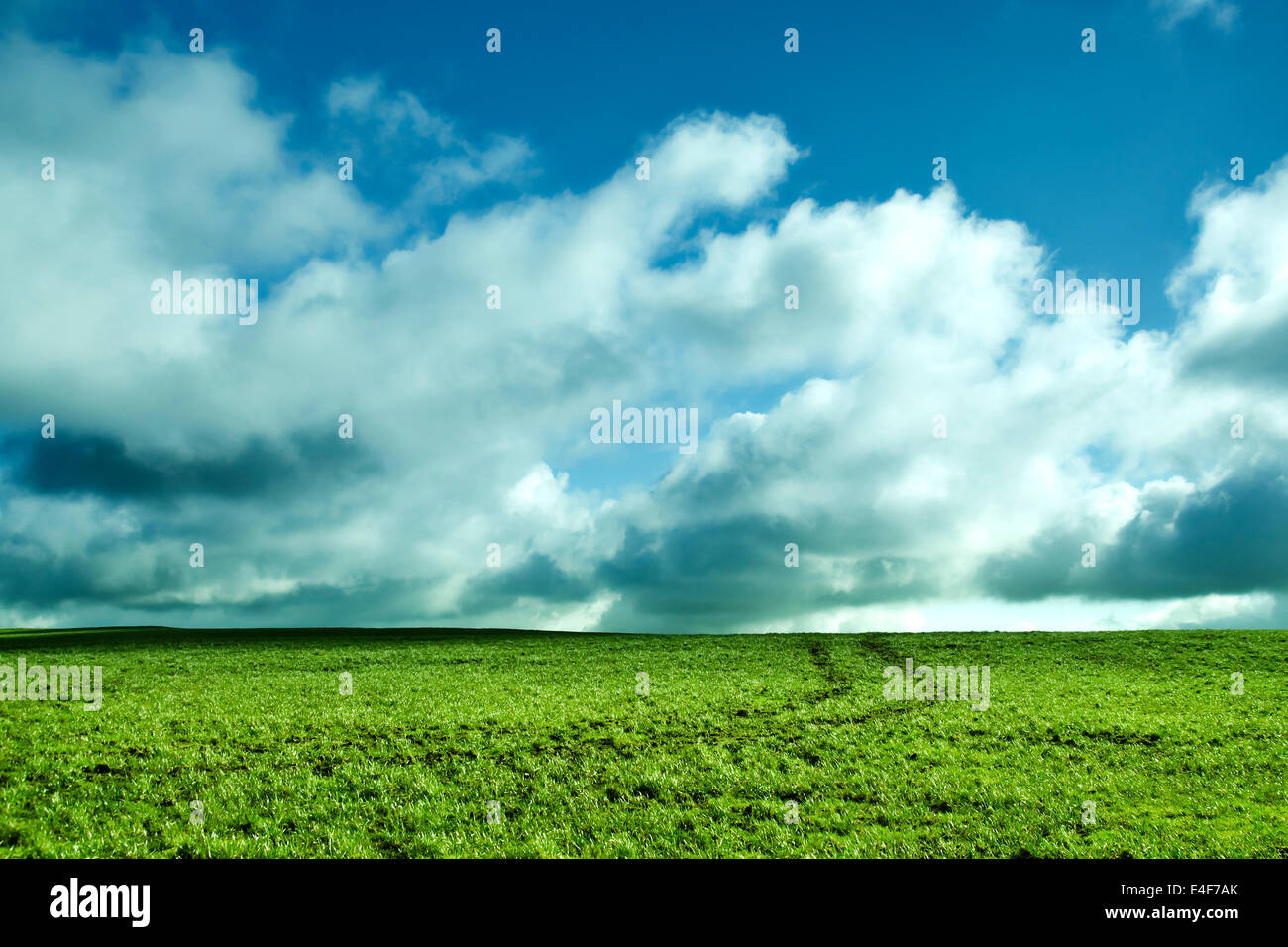 Green field and blue sky landscape for background Stock Photo - Alamy