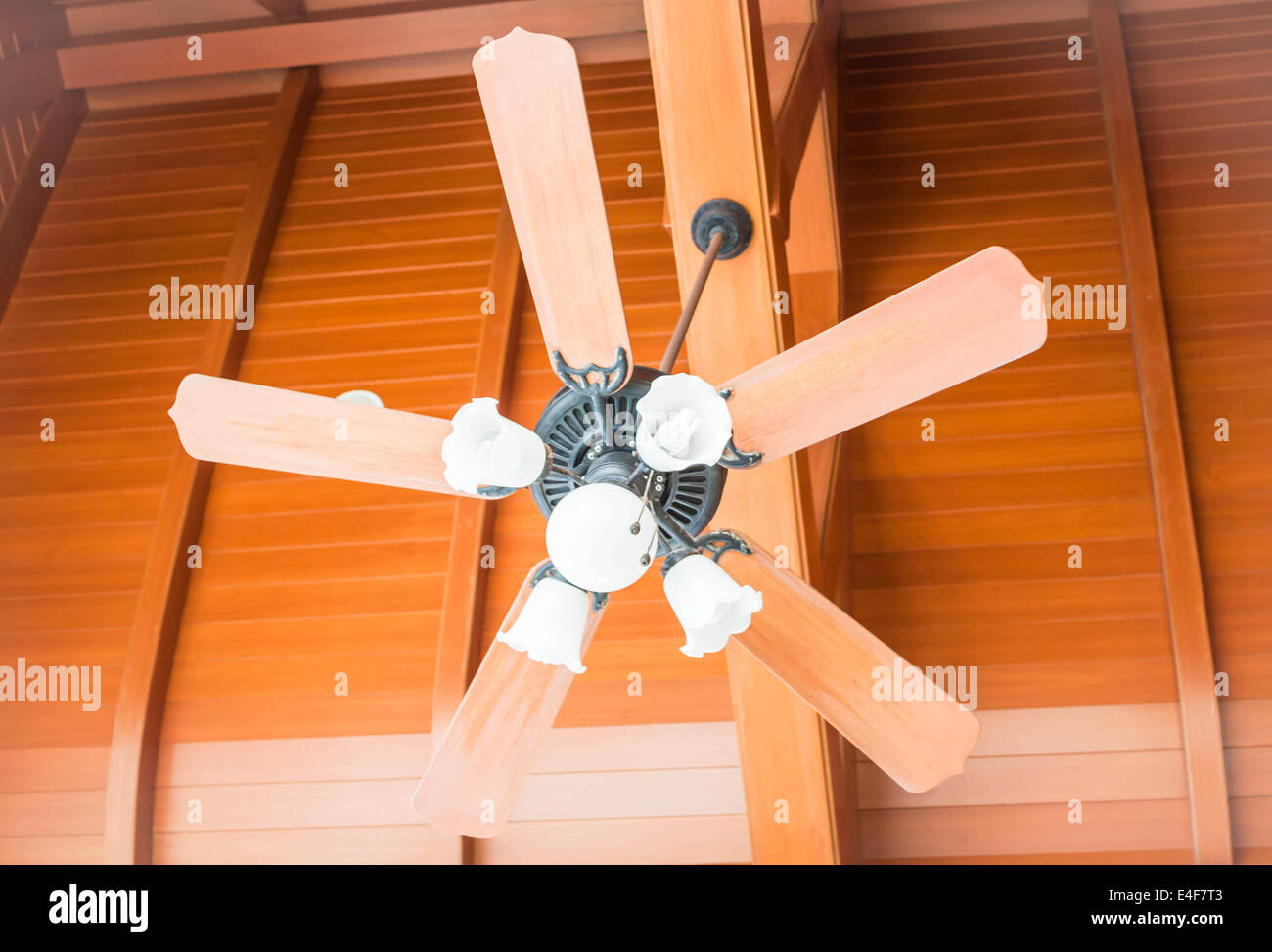 Beautiful hanging ceiling fan with glass lamps up close Stock Photo - Alamy