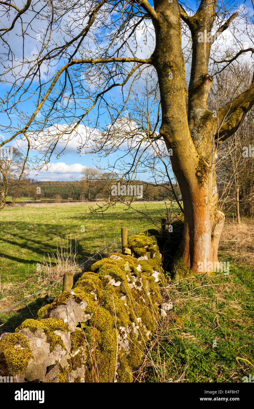 Derbyshire landscape hi-res stock photography and images - Alamy
