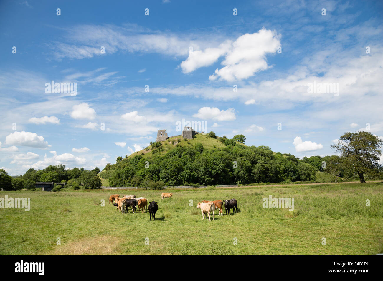 Dryslwyn Castle, built by the Welsh Princes, high above the River Towy ...