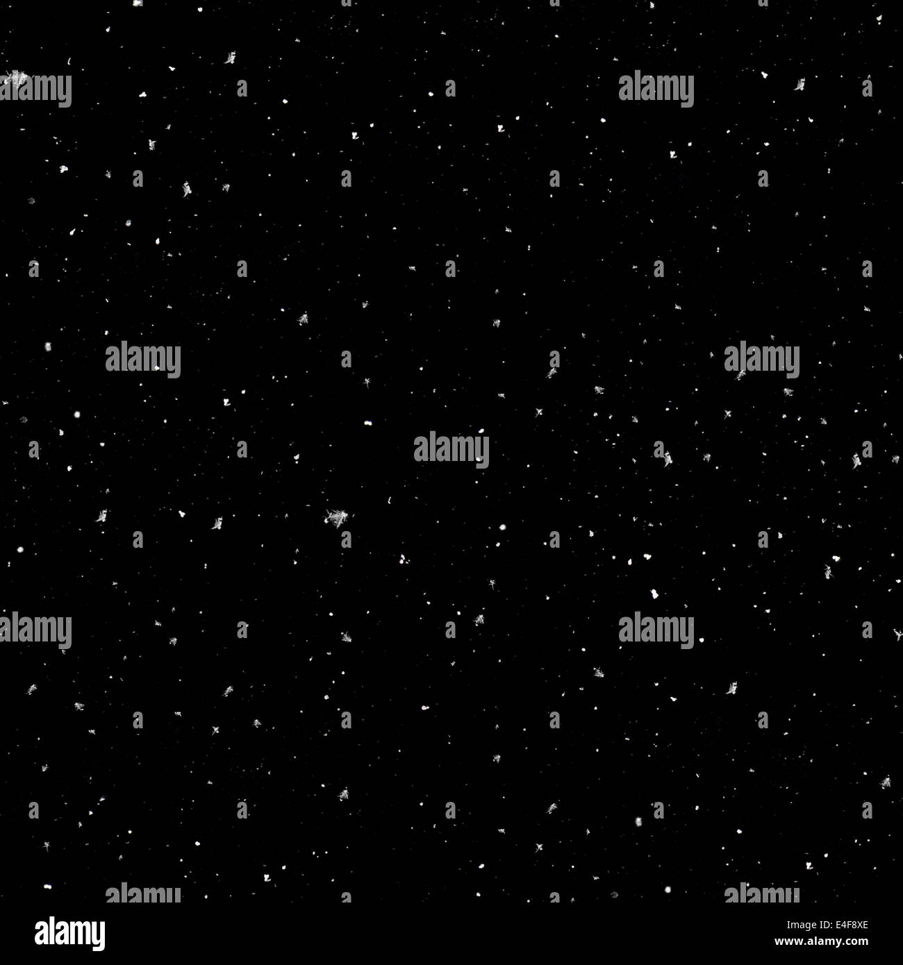 Christmas background falling snowflakes blurred Black and White Stock ...