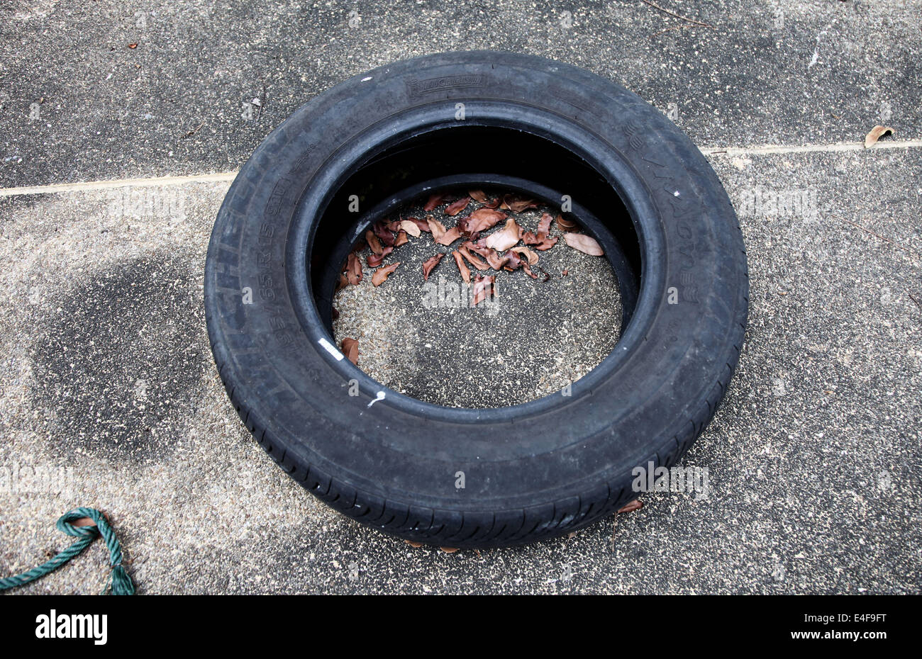 It's a photo of an old car tire that is on the floor. We see dead ...