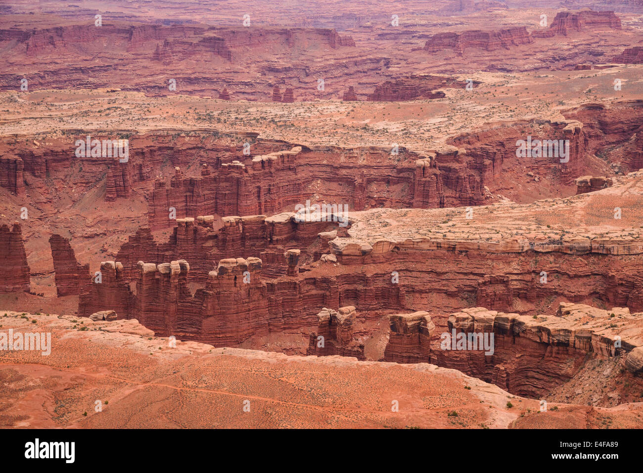 Grandview Point Overlook, Islands in the Sky, Canyonlands National Park ...