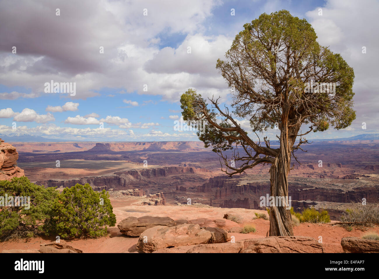 Grandview Point Overlook, Islands in the Sky, Canyonlands National Park ...