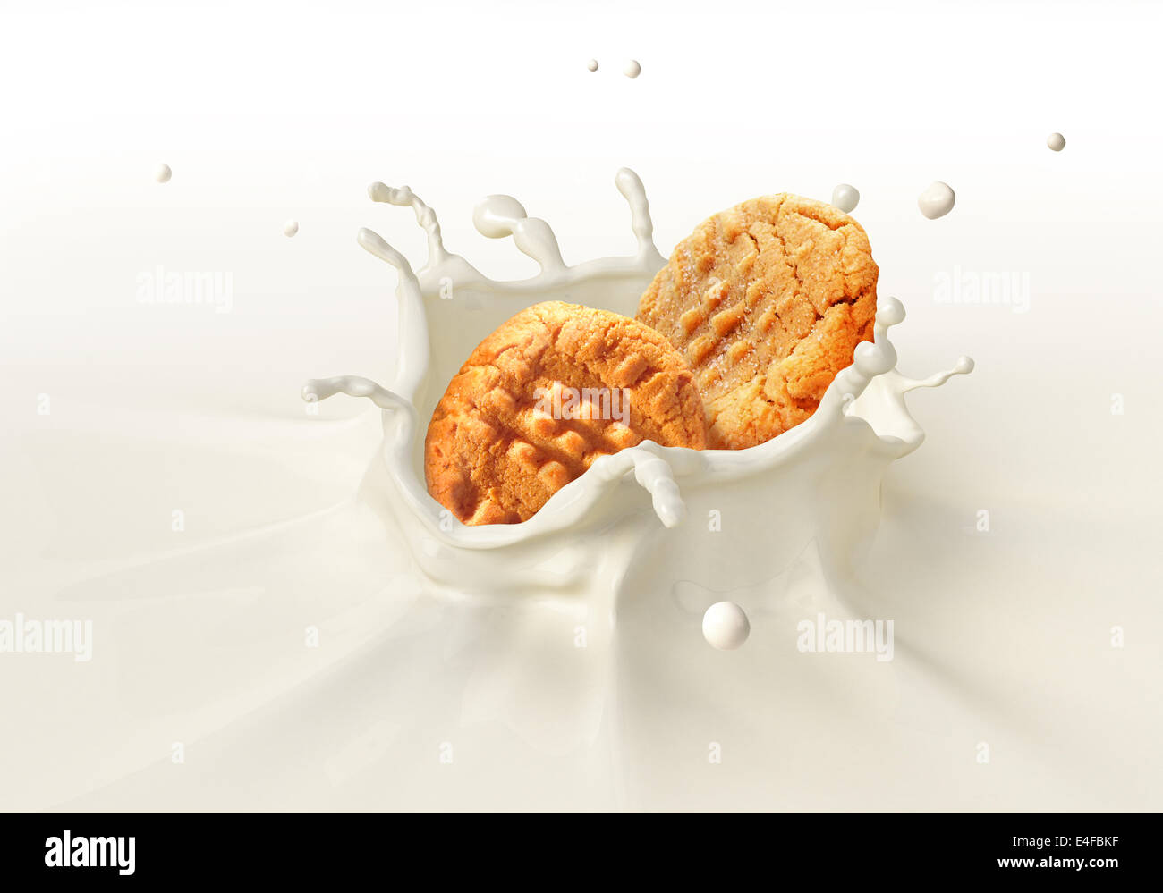 Two cookies biscuits falling into milk forming a crown splash. On white ...
