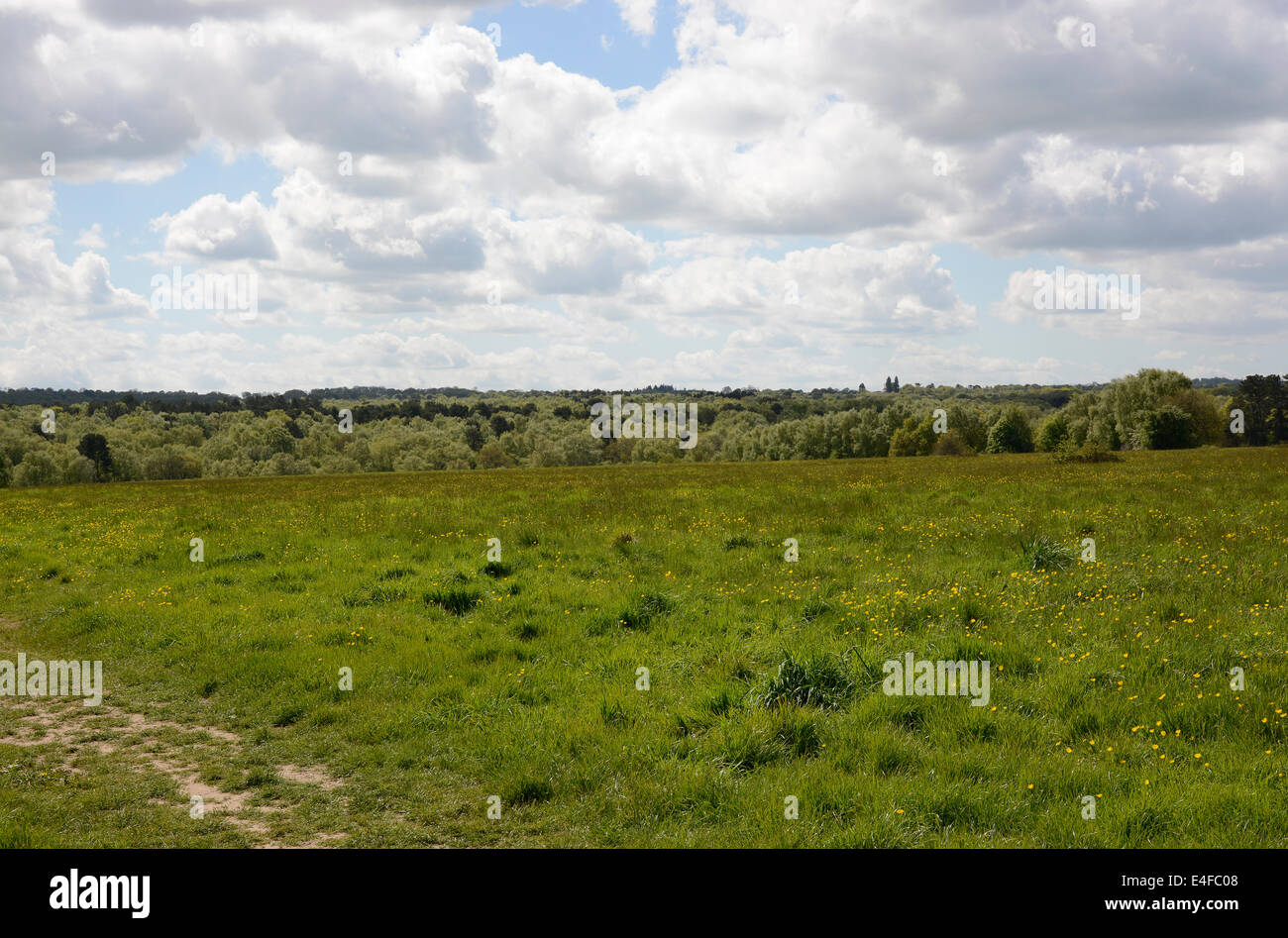 Heathland common hi-res stock photography and images - Alamy