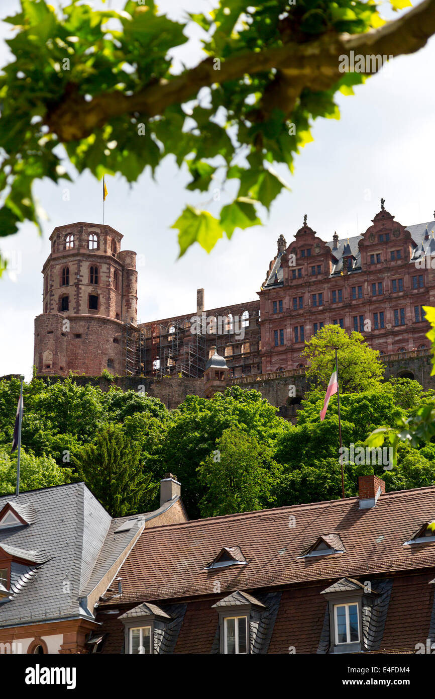 Heidelberg Castle Interior High Resolution Stock Photography and Images ...