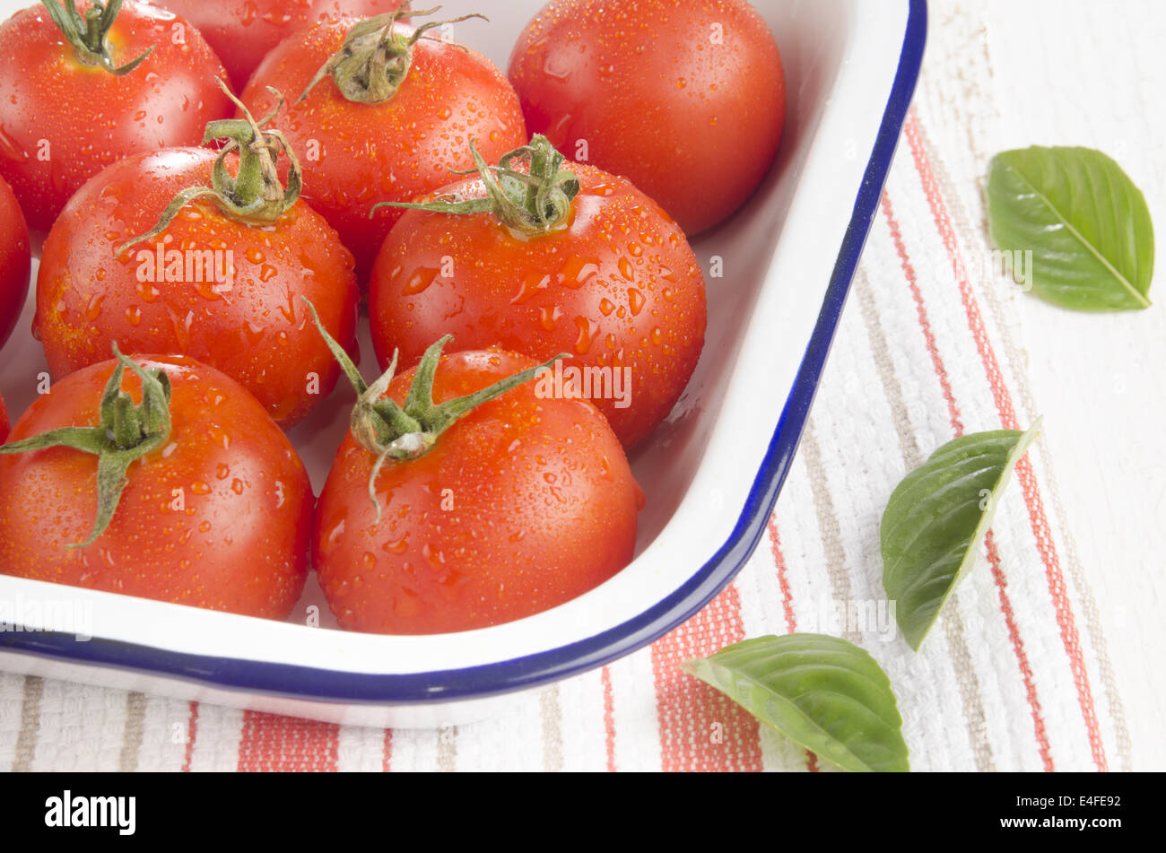 freshly washed tomatoes in an enamel bowl and basil leaves Stock Photo ...
