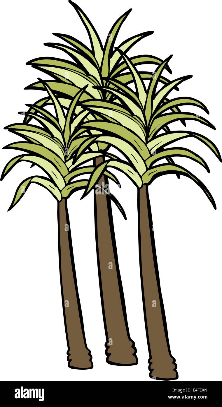 cartoon palm tree Stock Vector Image & Art - Alamy