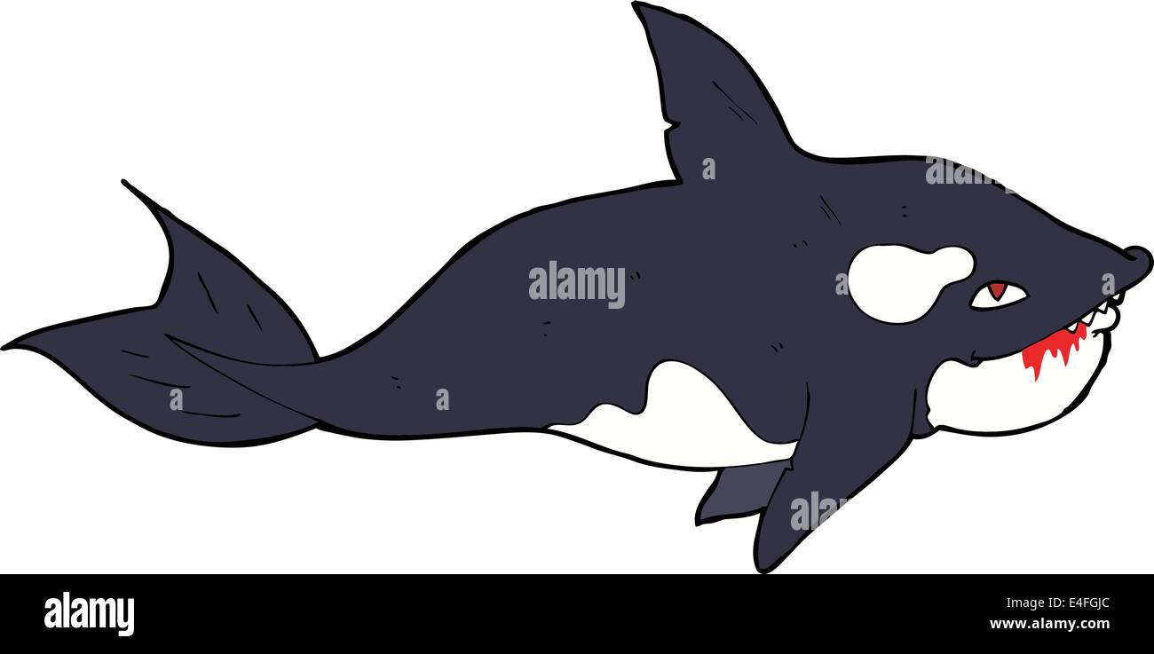 cartoon killer whale Stock Vector Image & Art - Alamy