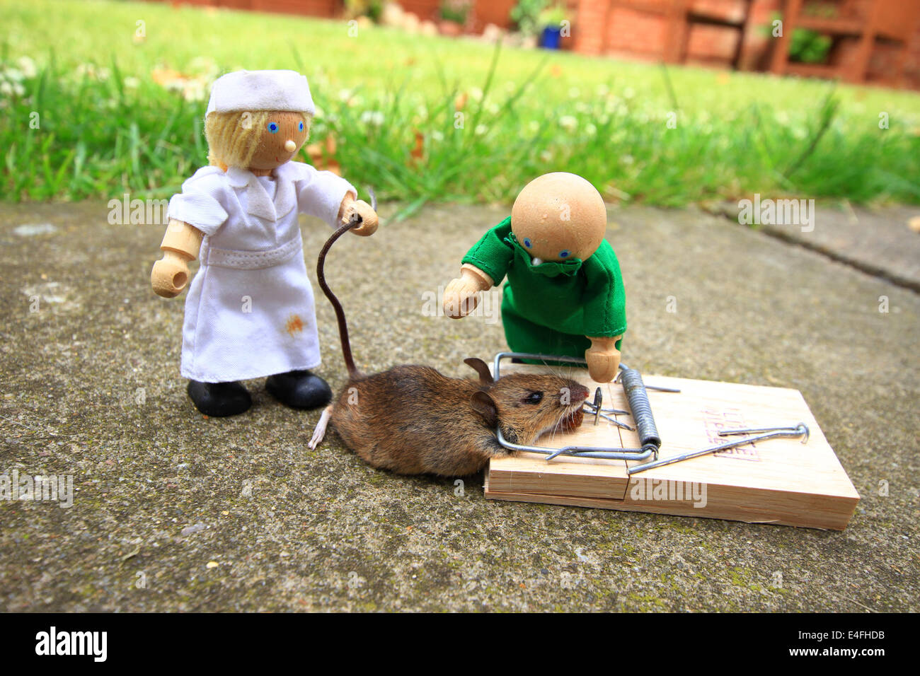 Dead mouse road roadkill hi-res stock photography and images - Alamy