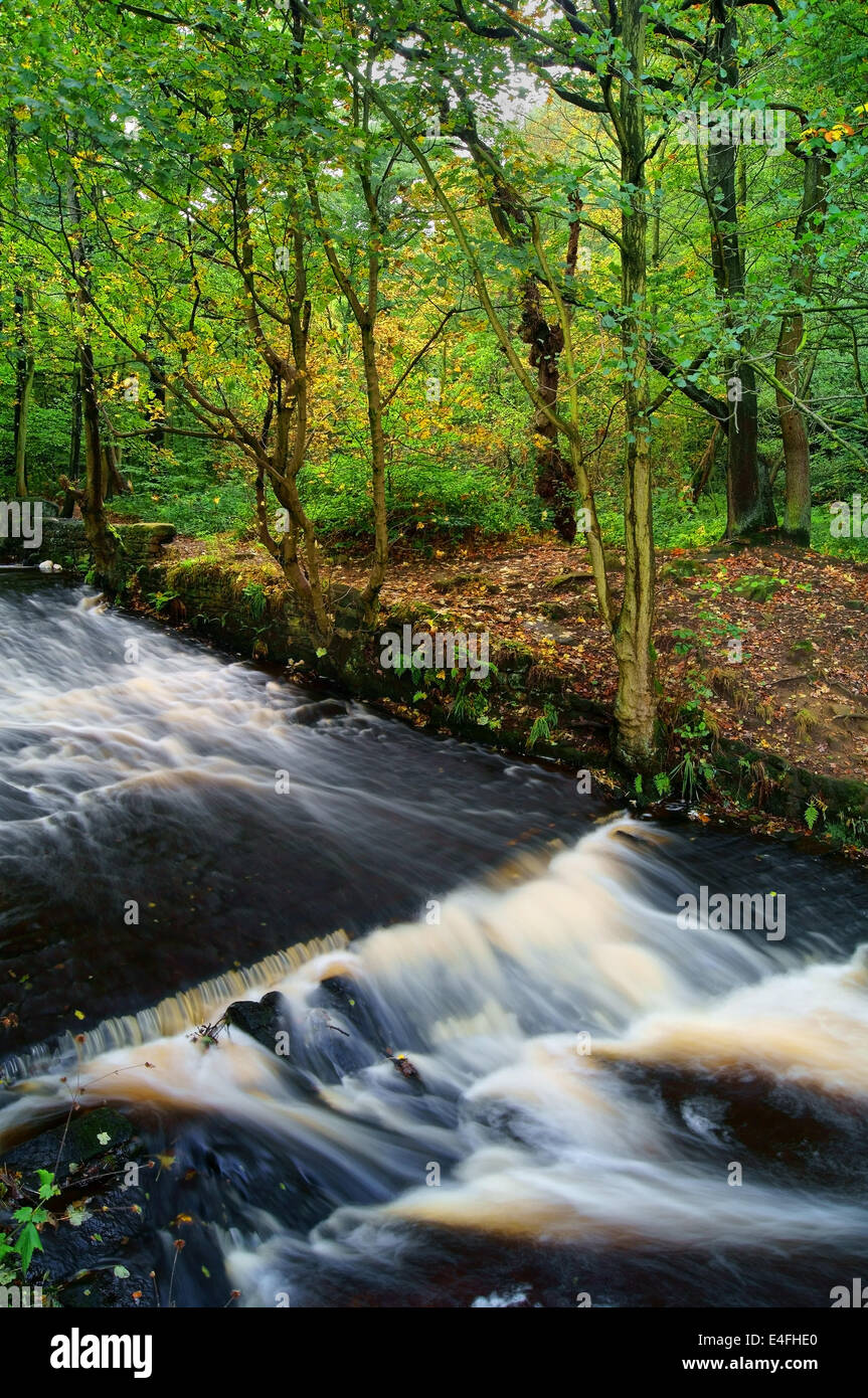 Rivelin valley nature hi-res stock photography and images - Alamy