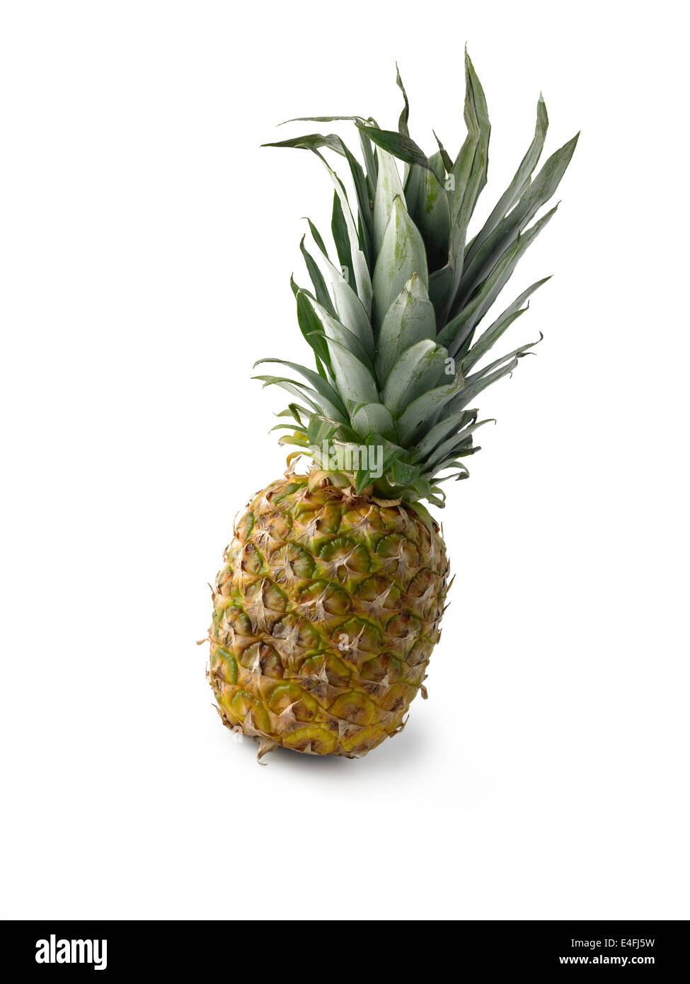 Fruits and leaves hi-res stock photography and images - Alamy