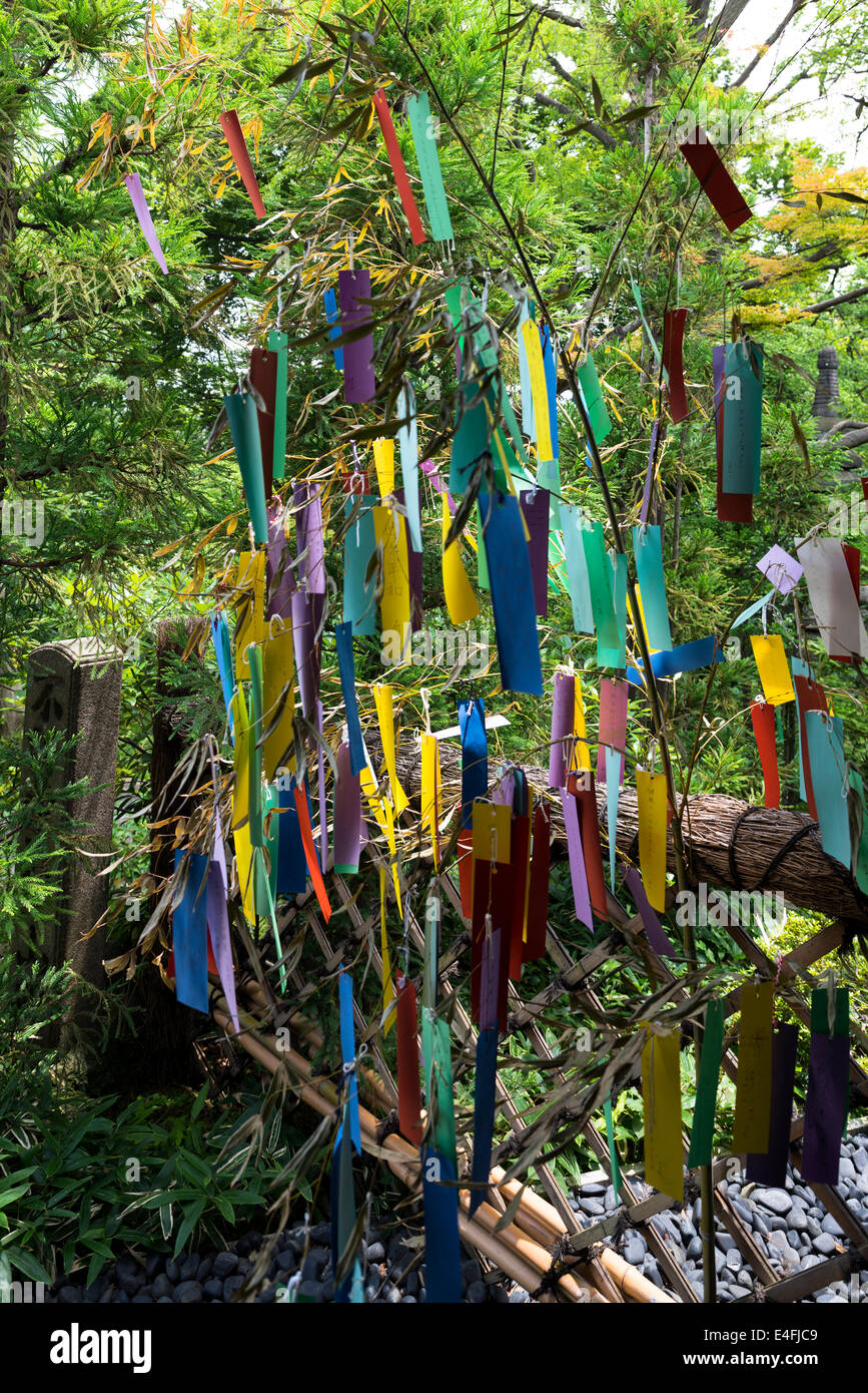 Tanzaku tied to a tree for the Tanabata Festival in the garden of the ...