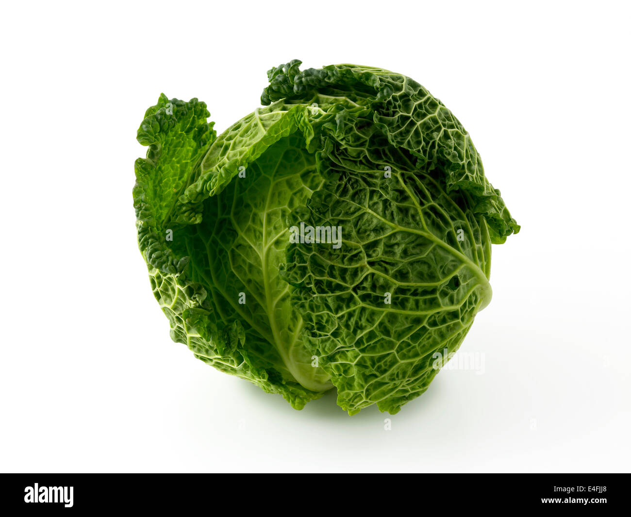 Raw savoy cabbage vegetables hi-res stock photography and images - Alamy