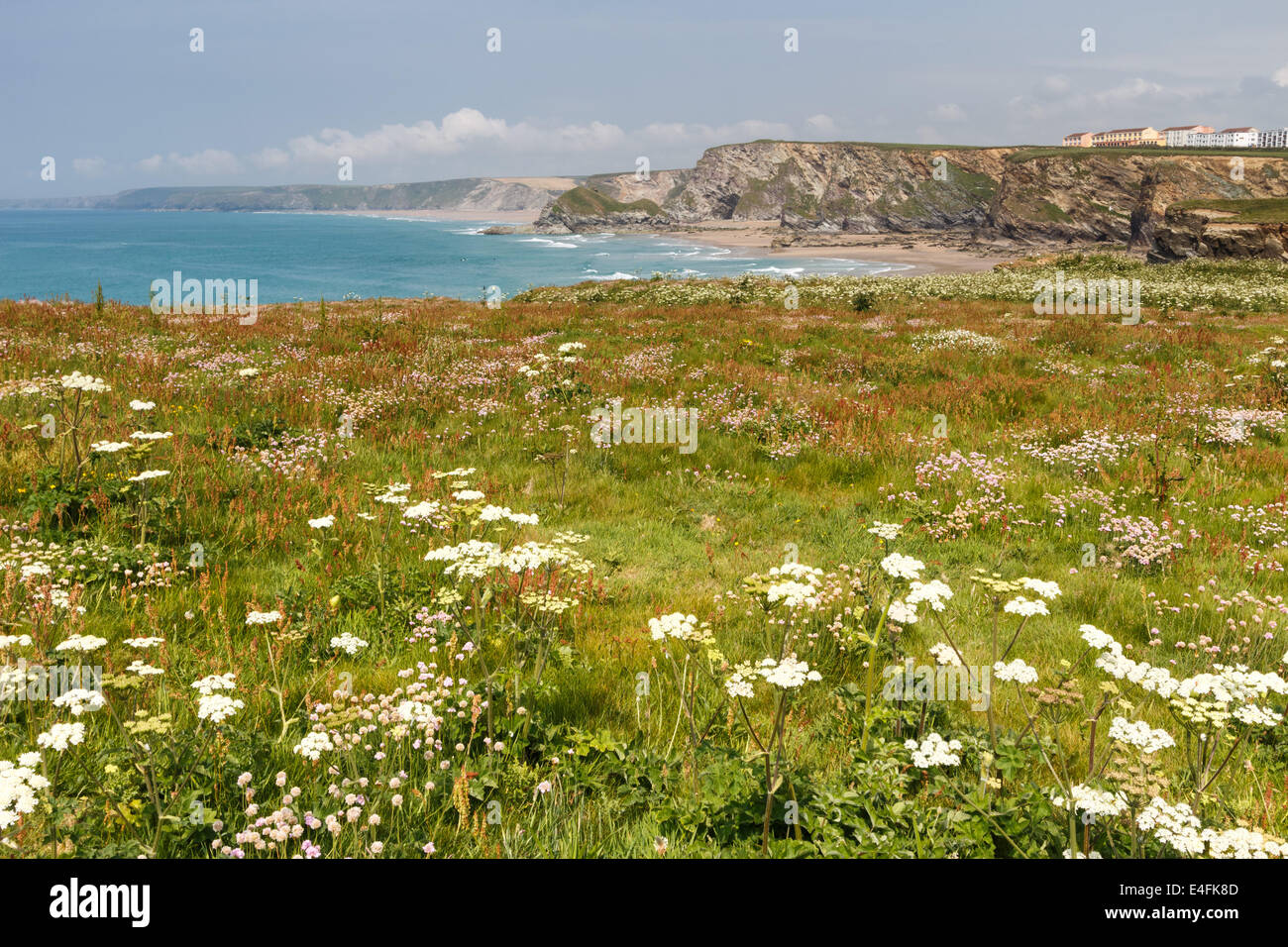 Cornish parks hi-res stock photography and images - Alamy