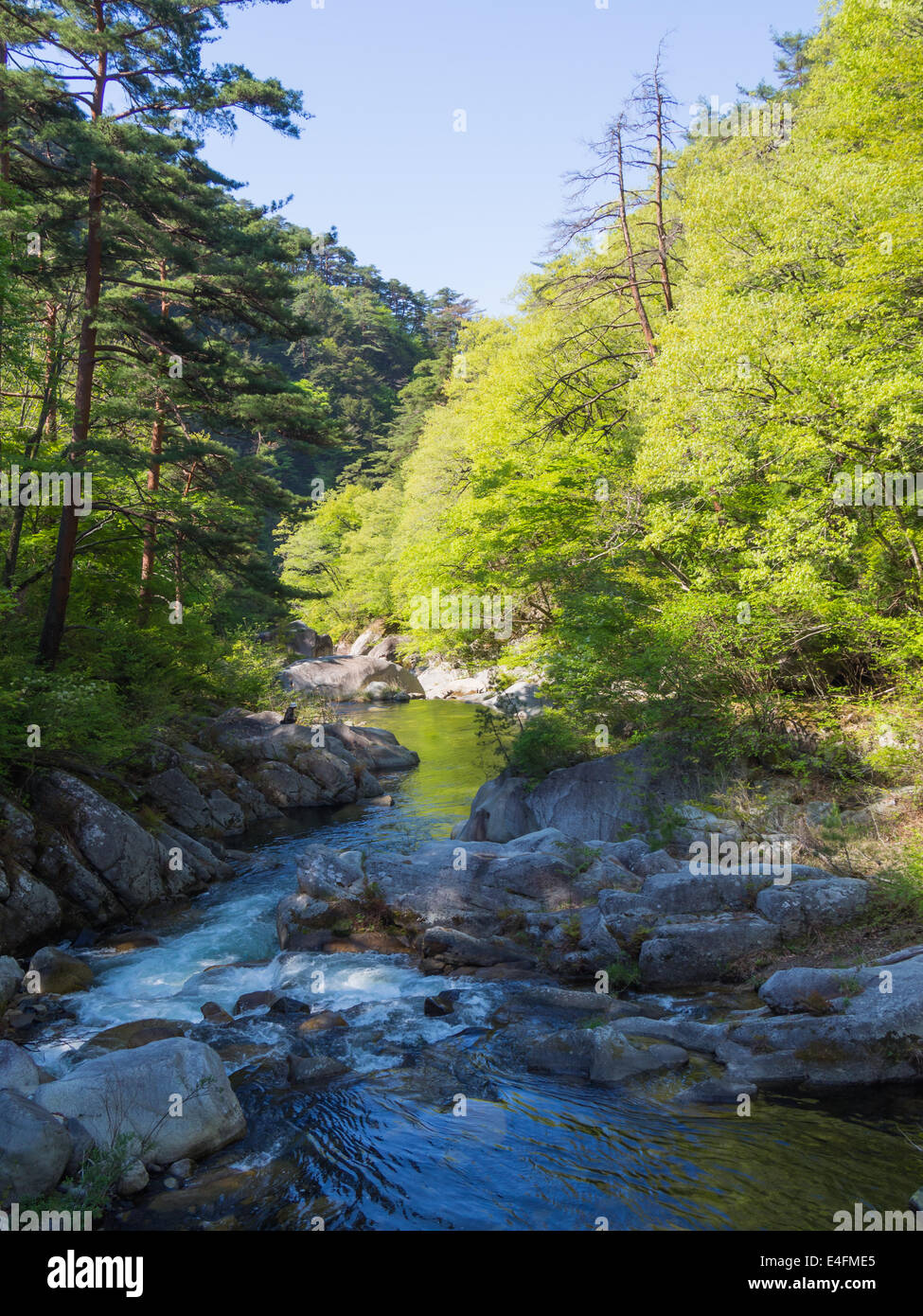 Mitake gorge hi-res stock photography and images - Alamy