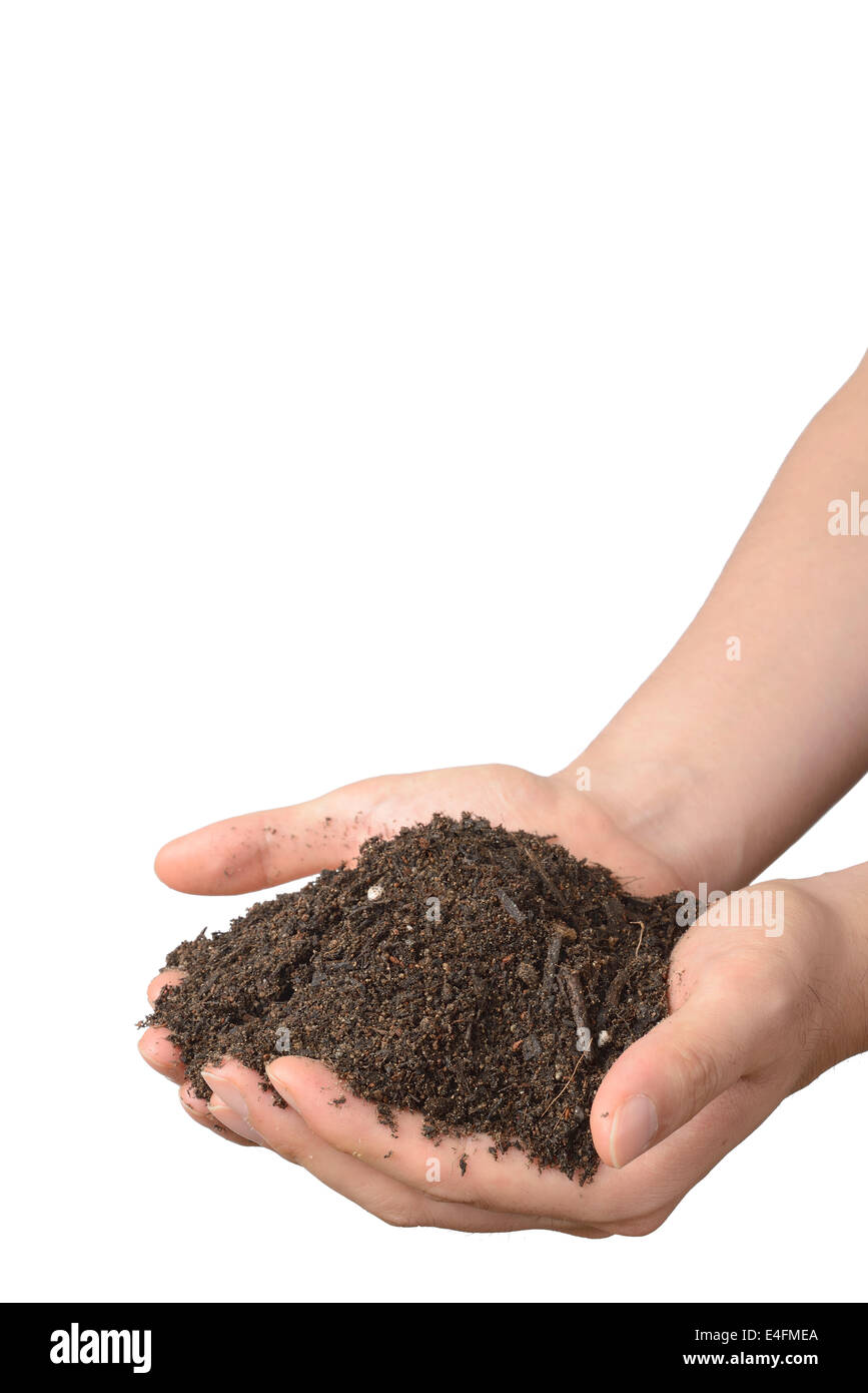 soil on hands, isolated on white background Stock Photo - Alamy